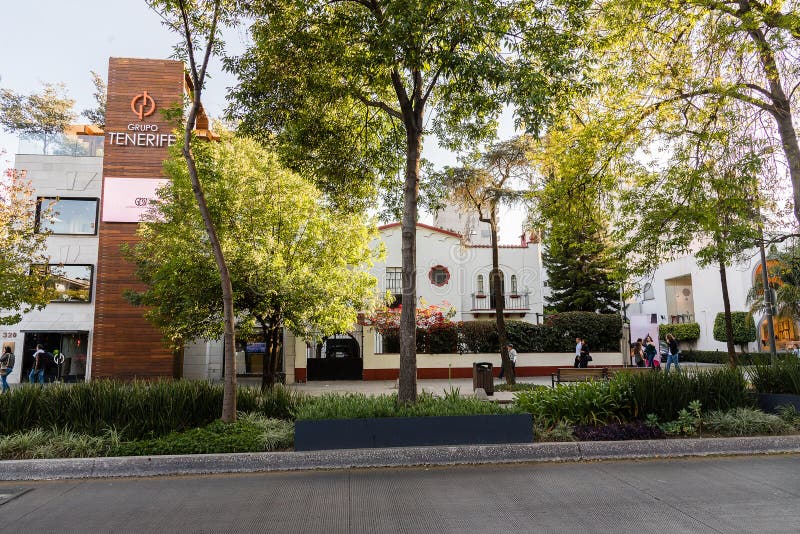 Mexico City - Polanco Street Editorial Photo - Image of streets, stores ...