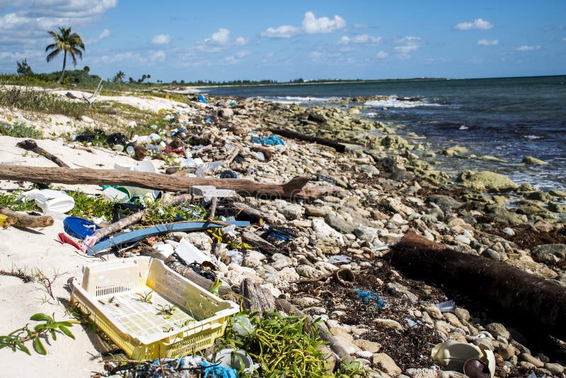 Mexico Coastline Pollution Problem 2 Stock Image - Image of beach ...
