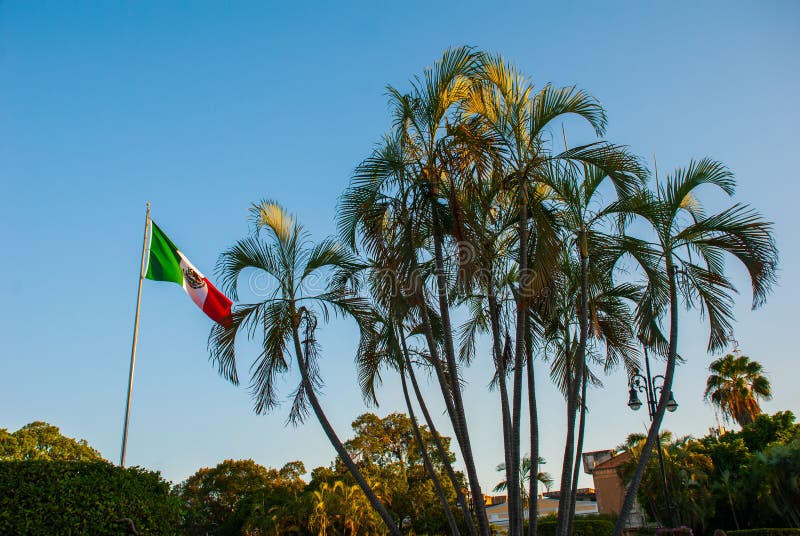 Mexico Flag Develops Against the Sky and Palm Trees in the Evening ...
