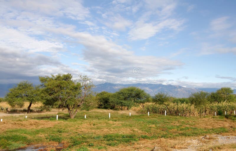 Mexico landscape stock photo. Image of natural, countryside - 40541358