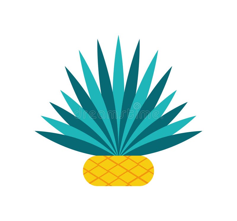Mexico mezcal agave plant stock illustration. Illustration of harvest ...