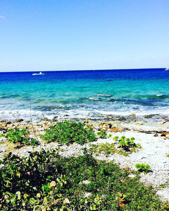 Mexico Ocean Pollution Problem Plastic Litter Stock Photo - Image of ...