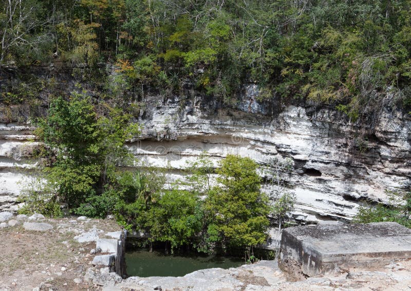 Mexico. Sacred Cenote at Chichen Itza Stock Image - Image of ...