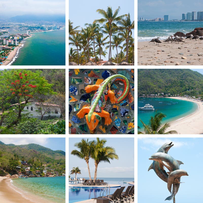 Mexico travel collage stock photo. Image of nature, seagull - 25682254