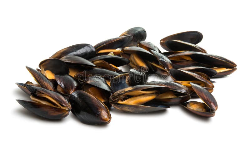 Mexilhões Isolados Com Casca De Mexilhão Verde De Fundo Branco Com ...