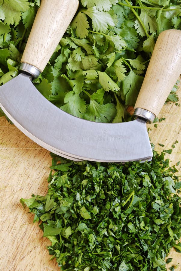 Mezzaluna and herbs stock photo. Image of chopping, flavor - 2983098