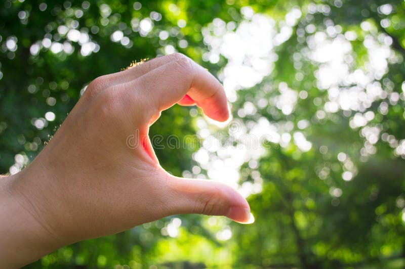 Mezzo Sole 2 Del Cuore Della Mano Fotografia Stock - Immagine di mani ...