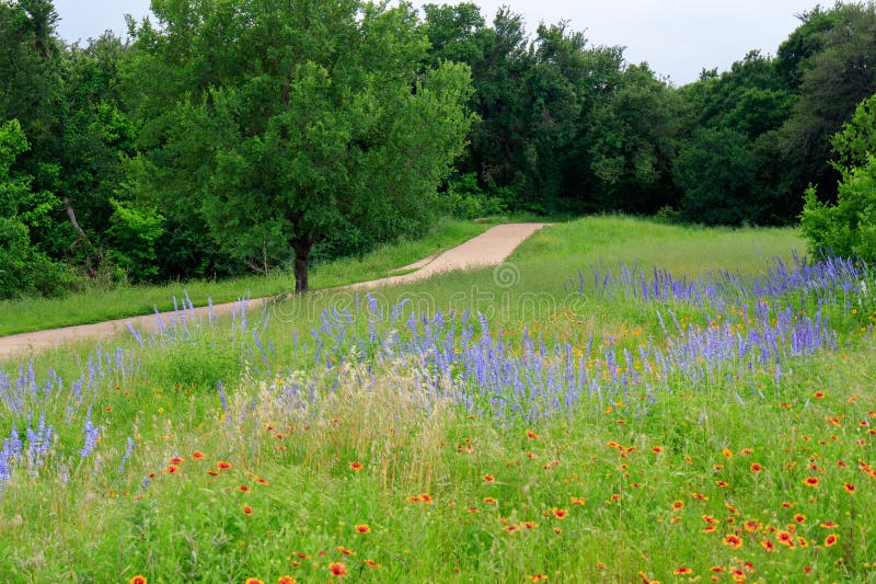 Vibrant Prairie Landscape Winding Path Lush Vegetation Stock Photos ...