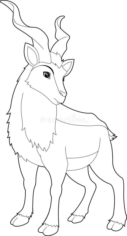 Markhor Stock Illustrations – 487 Markhor Stock Illustrations, Vectors ...