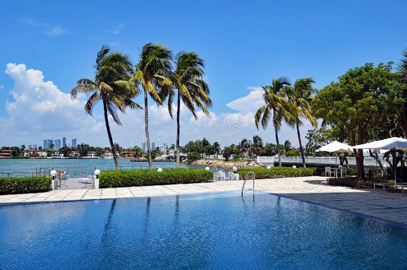 Miami Beach Condominium Swimming Pool Stock Image - Image of infinity ...