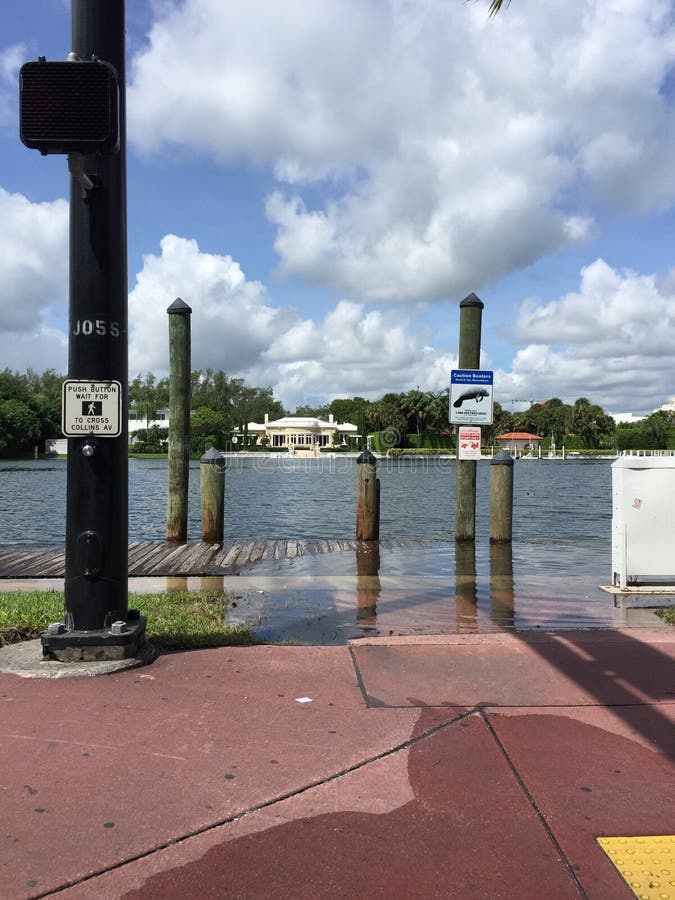 Miami Beach flooding stock photo. Image of water, waterway - 60159292