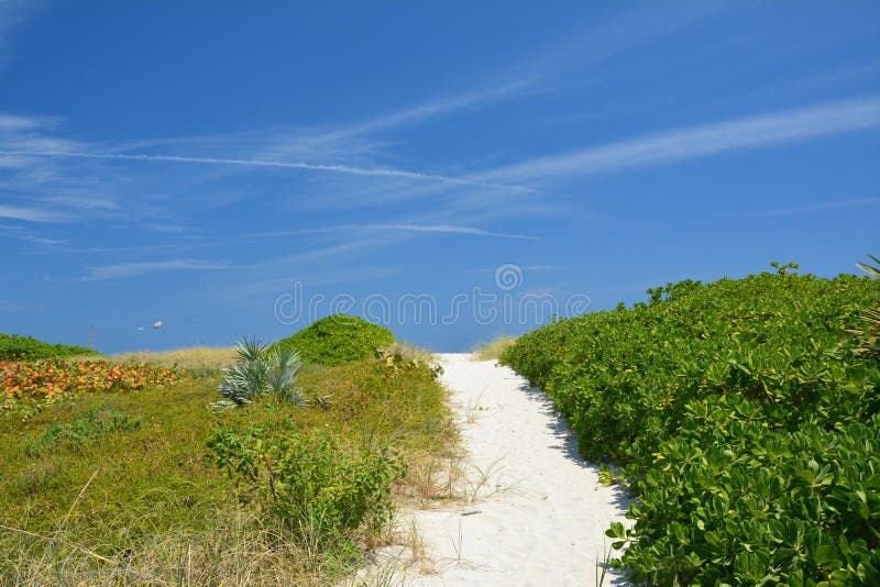 Miami Beach Path To the Beach through the Dune Stock Image - Image of ...
