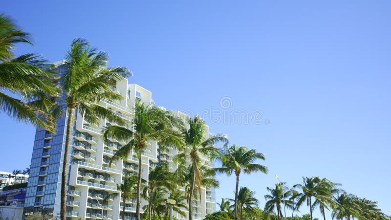 Miami Beach Scene Building and Palms on Blue Sky Stock Video - Video of ...