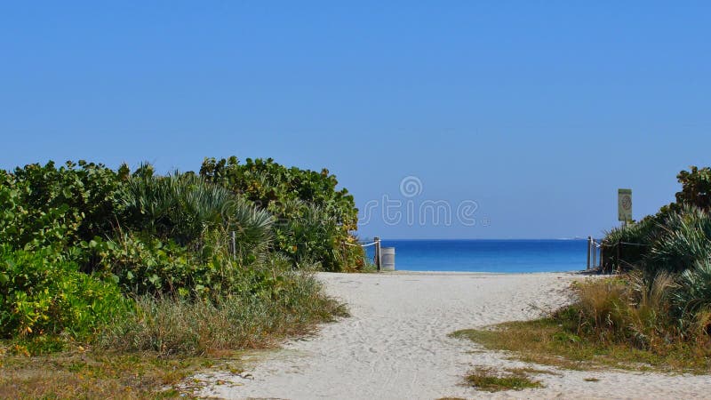 Miami Beach scene 4k stock video. Video of sand, 1080p - 48242603