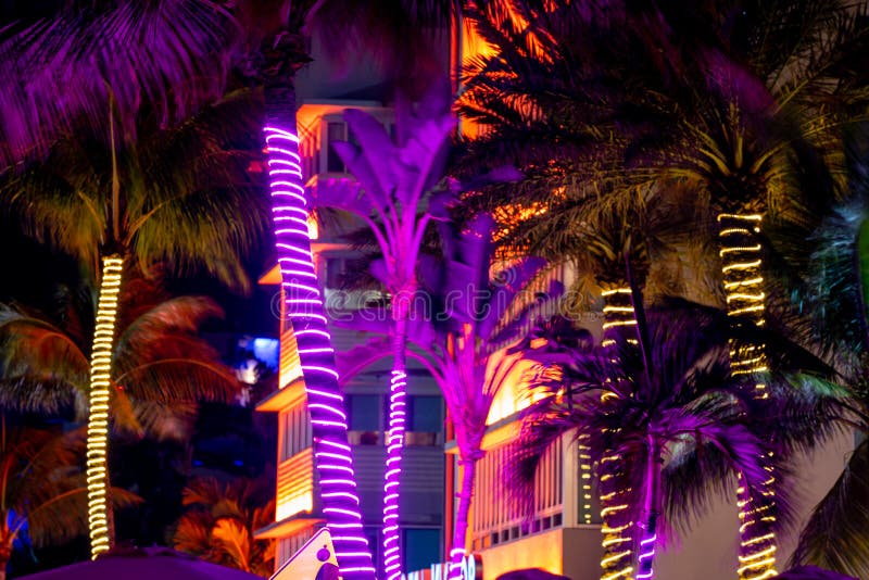 Miami Beach Scene at Midnight Stock Image - Image of night: 232859223