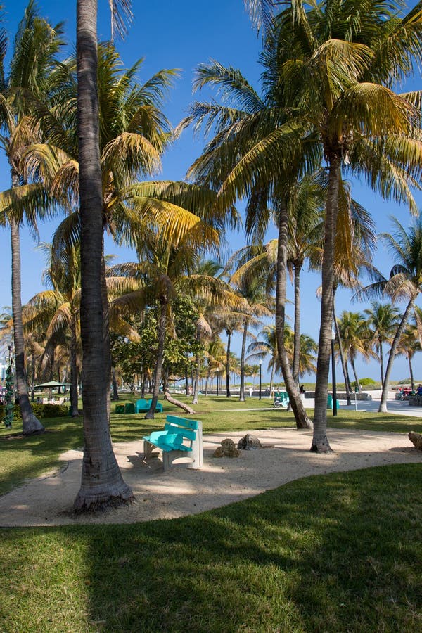 Miami Beach shore line stock image. Image of bench, palm - 17614719