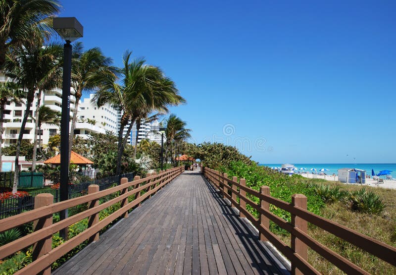 Miami Boardwalk stock photo. Image of wooden, city, trees - 13784680