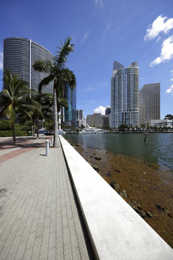 Miami Brickell Scene stock photo. Image of walkway, office - 56704968