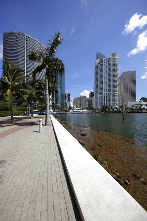 Miami Brickell Scene stock photo. Image of walkway, office - 56704968