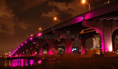 Miami Bridge at Night stock photo. Image of overpass, river - 4134928