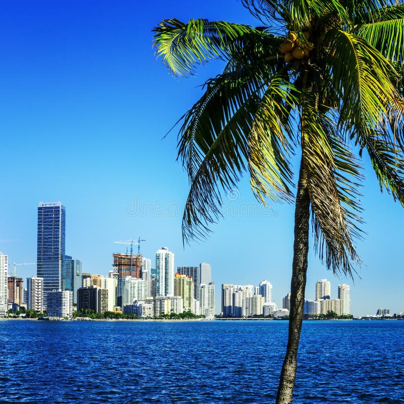 Miami Downtown skyline stock photo. Image of cityscape - 42052612