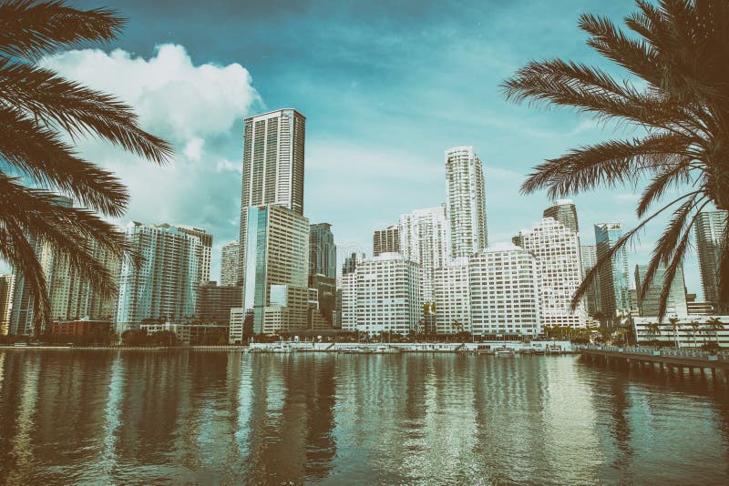 Edificios Modernos De Miami Imagen de archivo - Imagen de torre ...