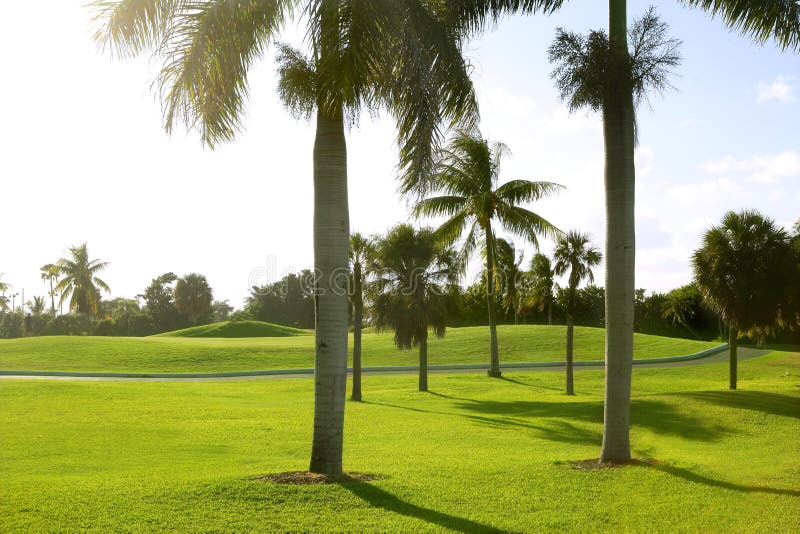 Miami Key Biscayne Golf Tropical Field Stock Photo - Image of park ...