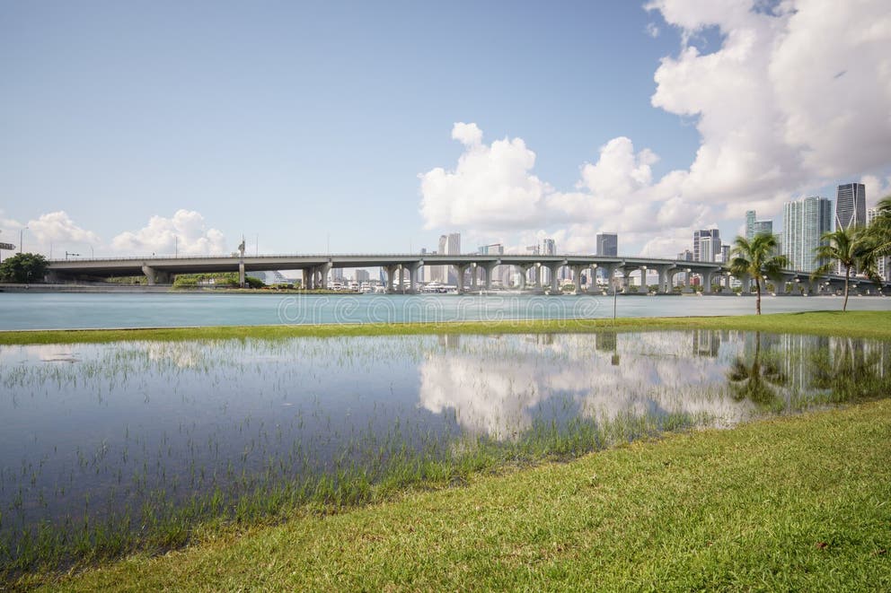 Miami King Tide Flooding Overflow Editorial Image - Image of grass ...
