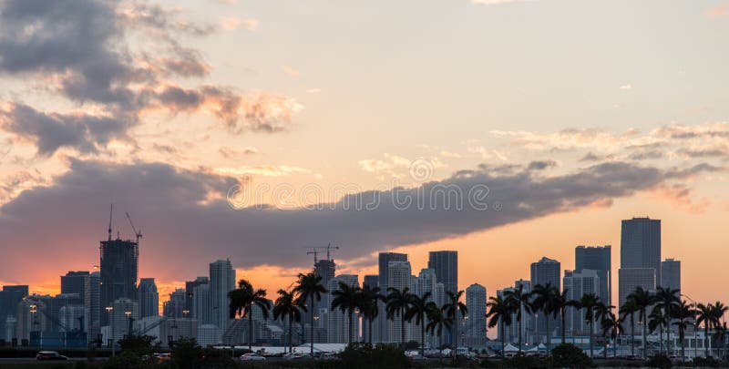Miami Landscape Sunset Palm Trees Stock Image - Image of holliday ...