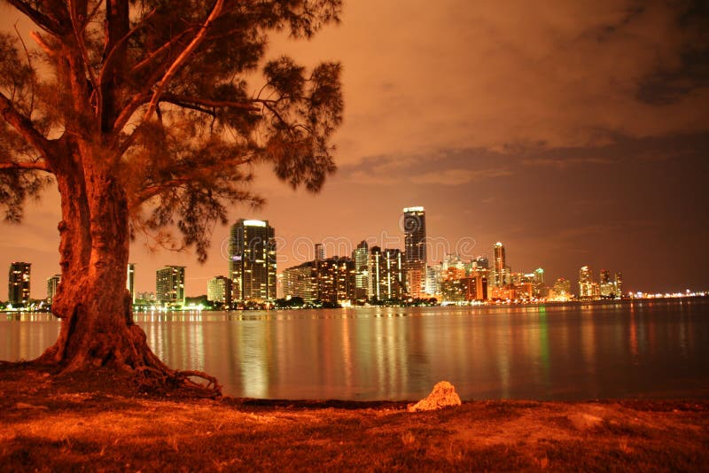 Miami at Night stock photo. Image of illumination, high - 20794490