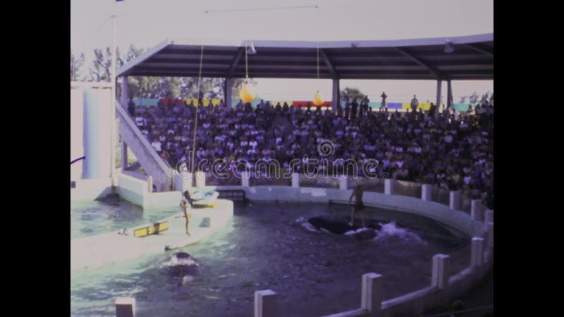 United States 1974, San Francisco Golden Gate Bridge in 70s Scene Stock ...