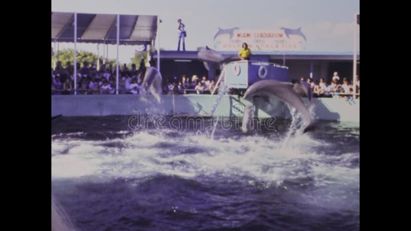 United States 1974, San Francisco Golden Gate Bridge in 70s Scene Stock ...