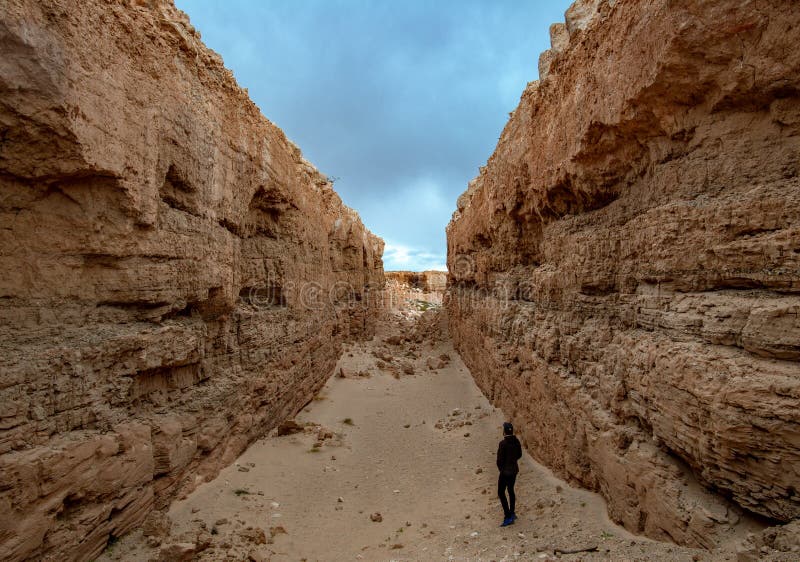Michael Heizer`s Double Negative Stock Image - Image of consumptive ...