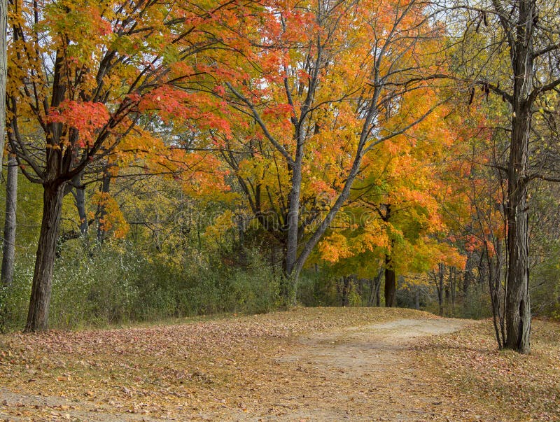 Michigan in Autumn stock photo. Image of blond, gold - 76217958