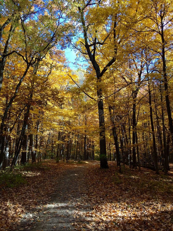 Michigan autumn stock photo. Image of leaves, colors - 62558536