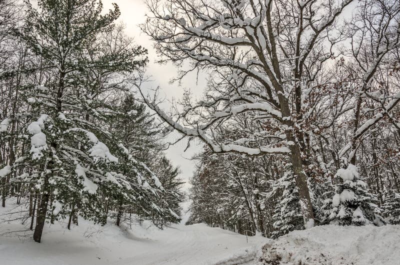 Michigan Back Road with Snow Stock Image - Image of quiet, dead: 107595655