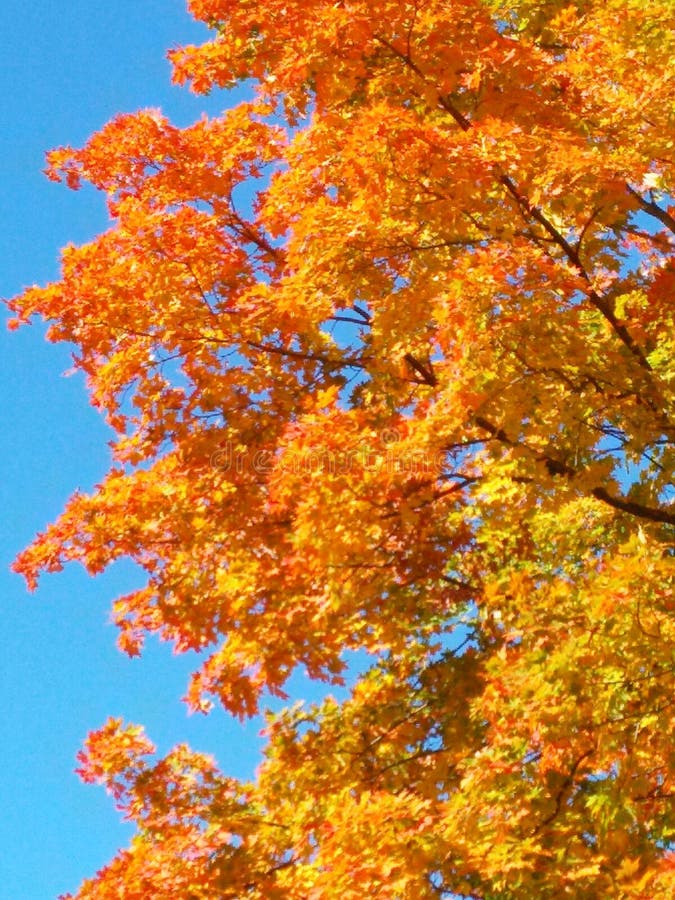 A Michigan fall beauty stock photo. Image of gorgeous - 98170562