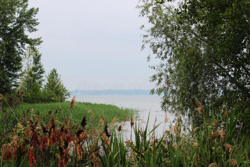 Michigan Lake Scene stock photo. Image of river, scene - 57049736