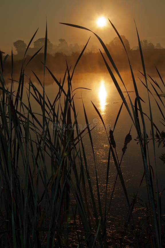 Michigan Morning stock image. Image of river, sunrise - 10844265