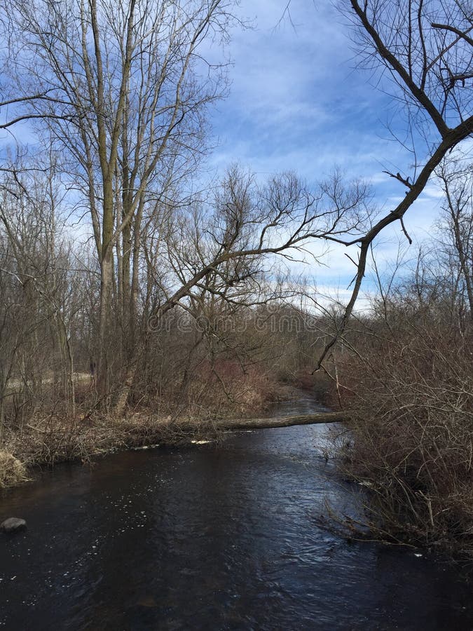Michigan stream stock image. Image of spring, stream - 68905559