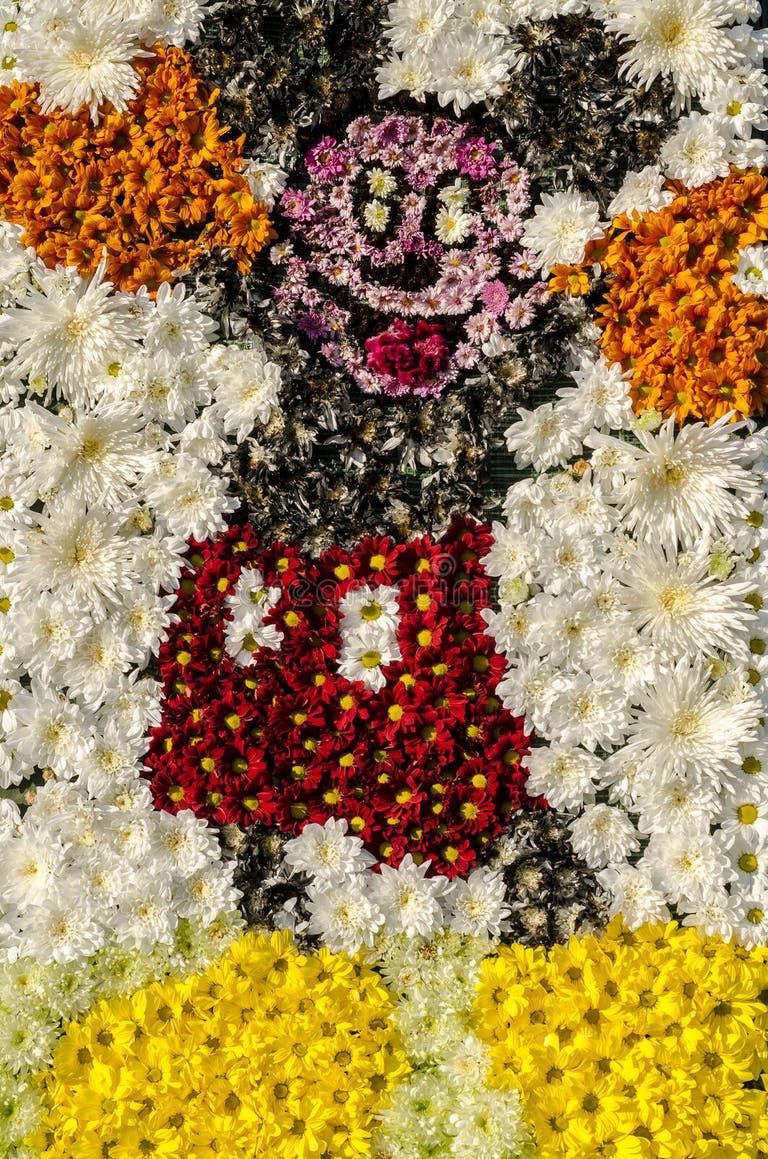 Mickey Mouse Planta La Flor Fotos de stock - Fotos libres de regalías ...