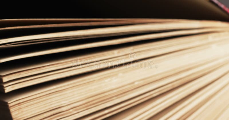 Micro of Book Pages and Copy Space on Grey Background Stock Video ...