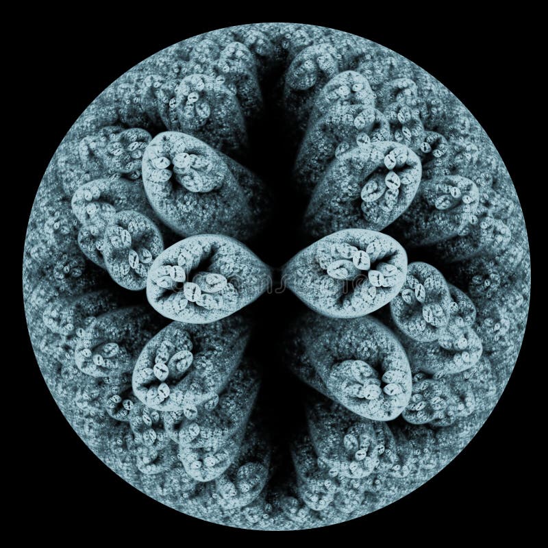 Virus stock image. Image of sick, micro, body, bacterium - 1512401