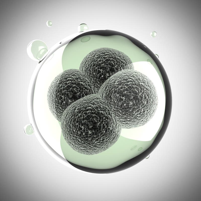 A Micro Cell Division Process Stock Image - Image of growth ...