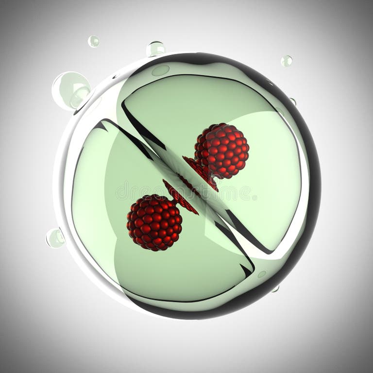 A Micro Cell Division Process Stock Illustration - Illustration of ...