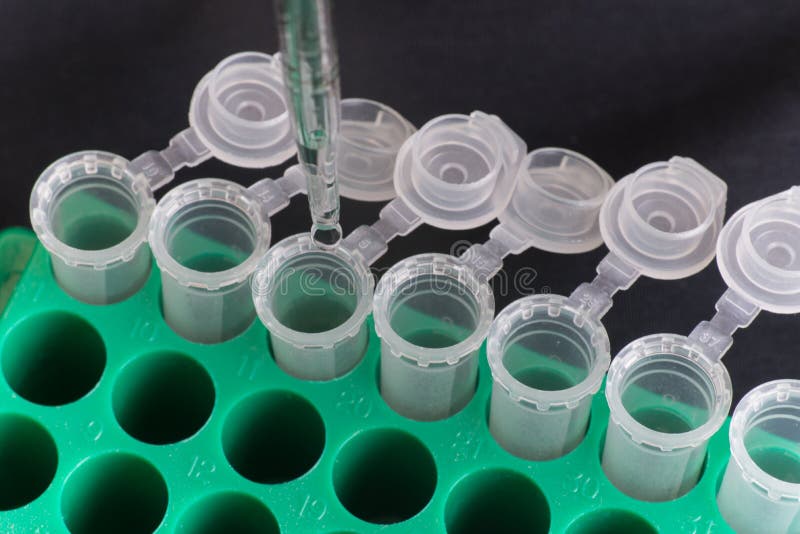 Micro Centrifuge Tube with Blood Sample in Solution Handle in Scientist ...