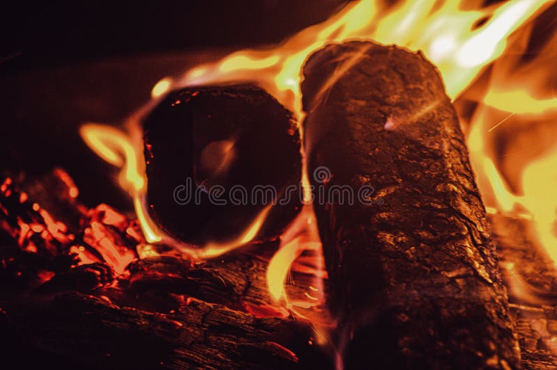 Micro Closeup Shot of Tree Branches Burning To Light a Fire Stock Image ...