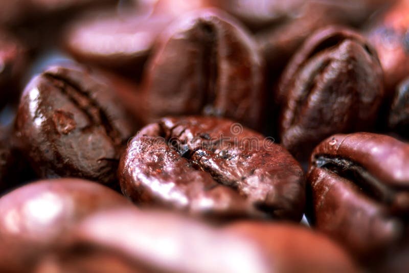 Coffee bean stock photo. Image of gourmet, macro, mocha - 101798384