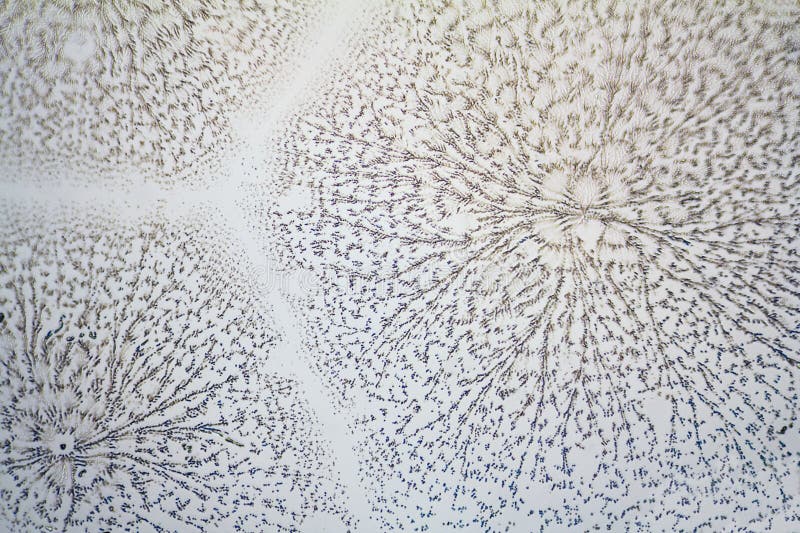 Micro crystal pattern stock image. Image of chemical - 94552165