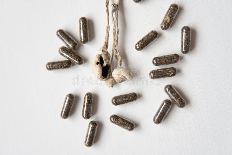 Micro-dosing Psilocybin Mushroom. Dry Psilocybe Cubensis. Psychedelic ...